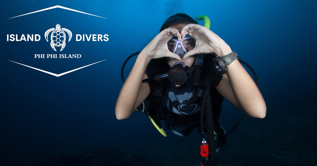 Professional Scuba Diving Courses | Divemaster & Instructor | Island Divers