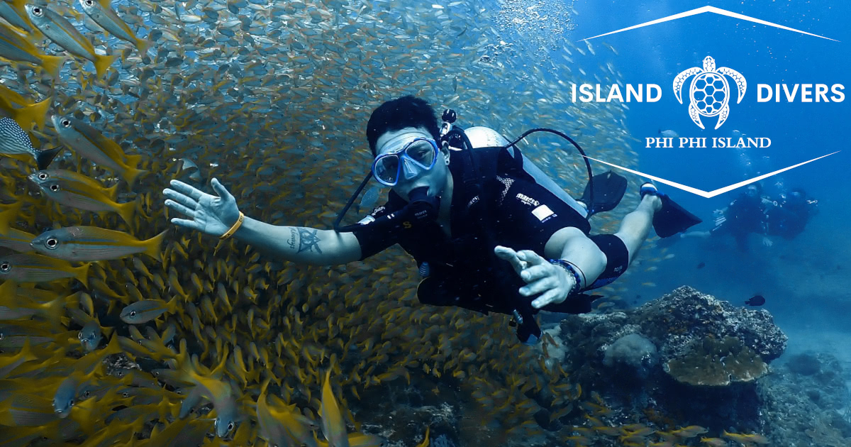 Scuba Diving Courses in Phi Phi | Beginner to Advanced | Island Divers